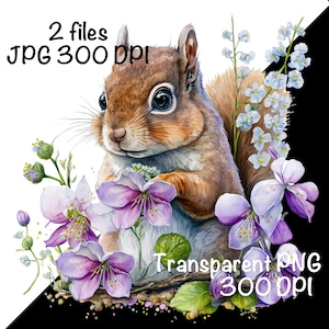 Cute Squirrel Watercolor Clipart Squirrel Flowers PNG Commercial Use ...