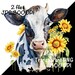 Dairy Milk Cow Watercolor Clipart Highland Cow Sunflowers Flowers PNG ...