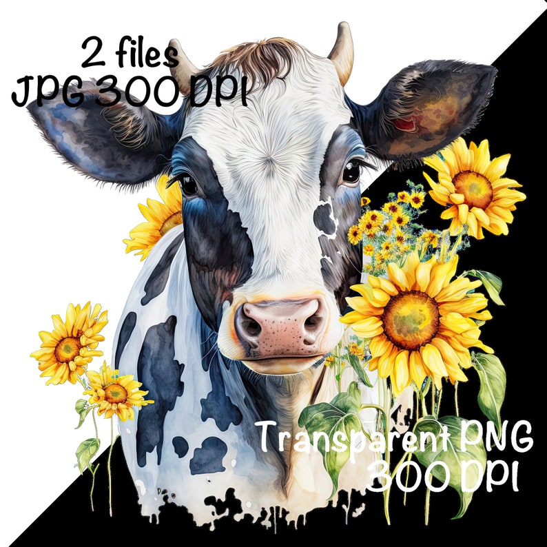 Dairy Milk Cow Watercolor Clipart Highland Cow Sunflowers - Etsy