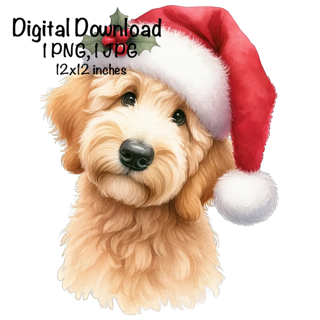 Christmas Goldendoodle Puppy PNG Christmas Santa Hat Doodle Dog ...