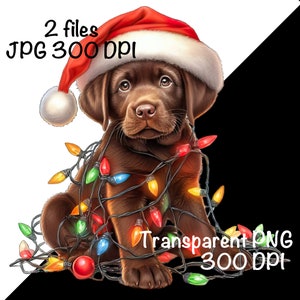 Christmas Labrador Puppy PNG Christmas Lights Santa Chocolate Labrador ...