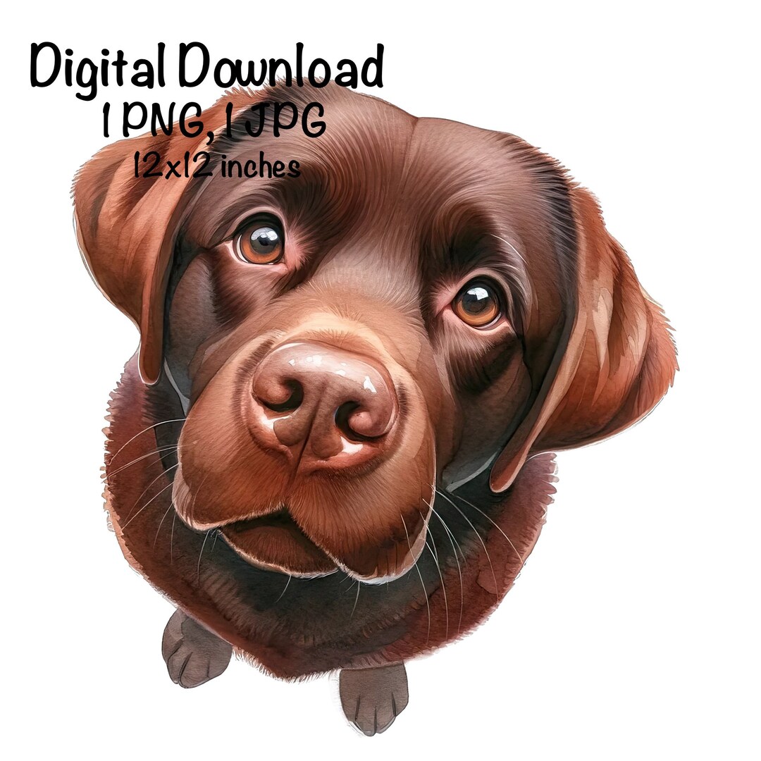Labrador Dog PNG Chocolate Labrador Retriever Sublimation Cute Lab Dog ...