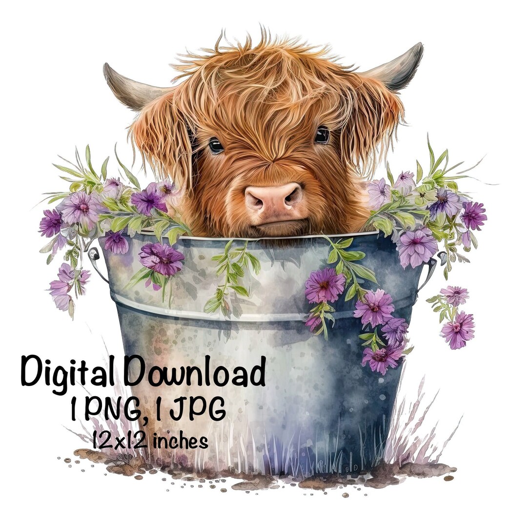 Highland Cow Watercolor Clipart Cute Highland Cow in Bucket Spring ...