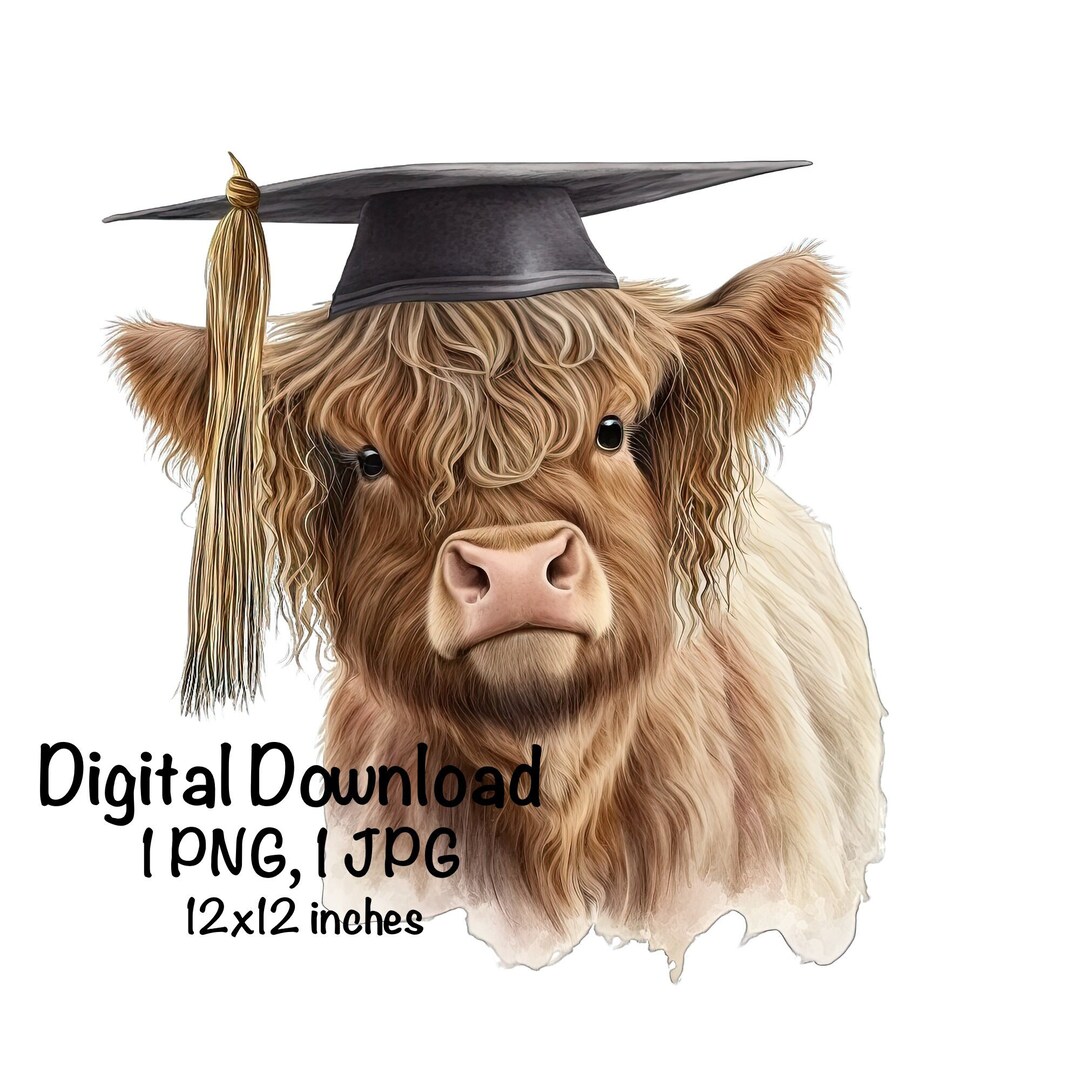 Highland Cow Watercolor Clipart Highland Cow Graduation Cap PNG ...