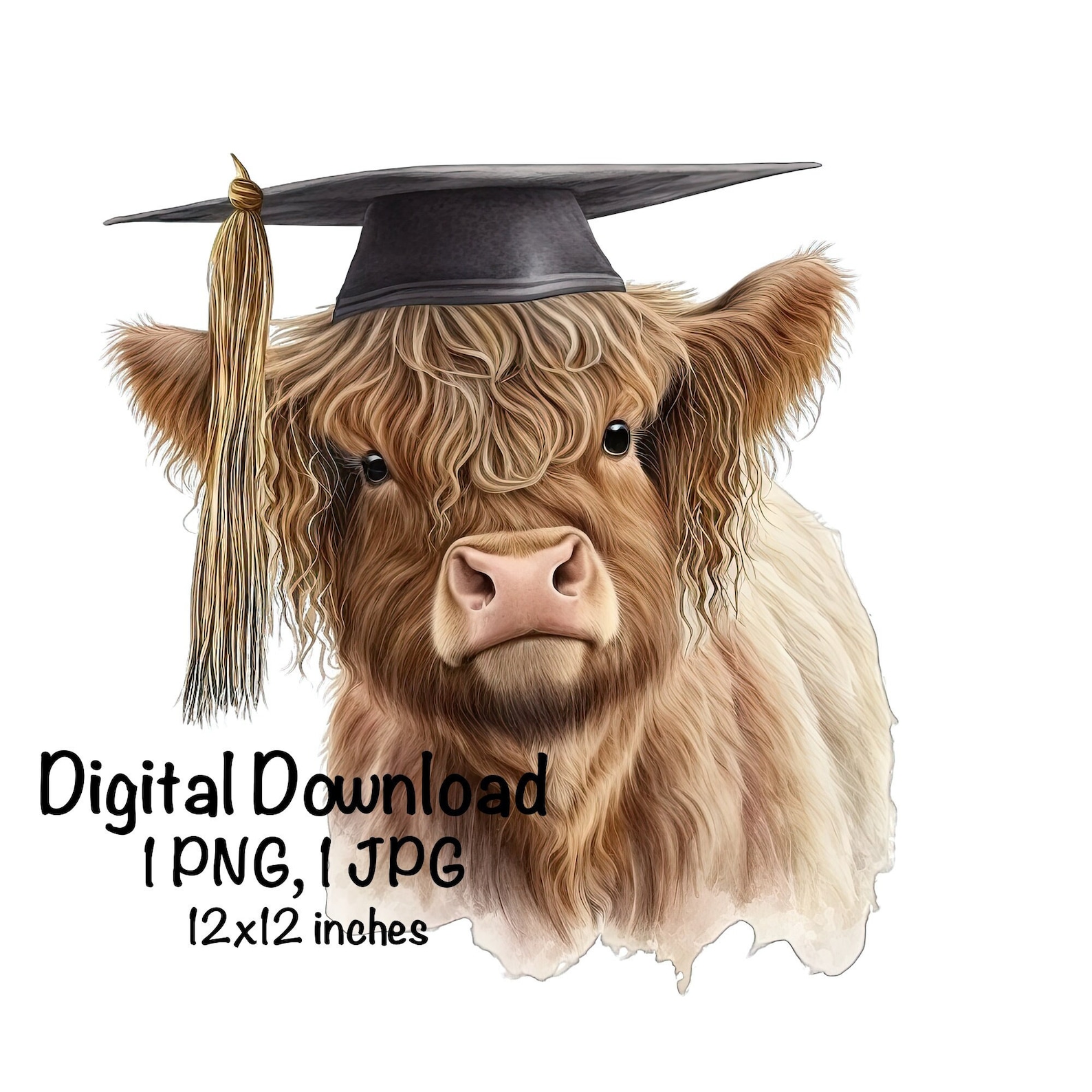 Highland Cow Watercolor Clipart Highland Cow Graduation Cap - Etsy
