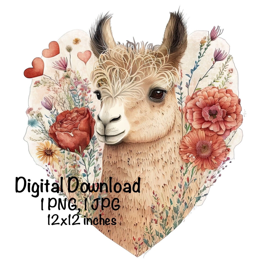 Llama Watercolor Clipart Highland Llama Spring Flowers Hearts PNG ...