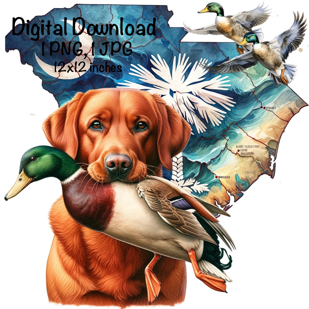 South Carolina Duck Hunting Dog PNG Fox Red Labrador Dog SC Map Hunting ...