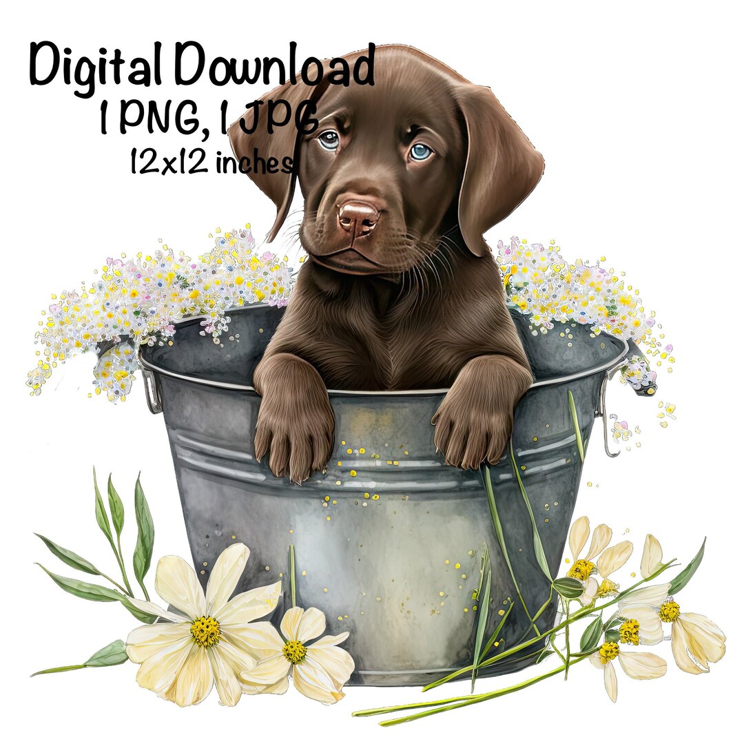 Labrador Puppy Watercolor Clipart Cute Lab Dog in a Bucket Baby ...