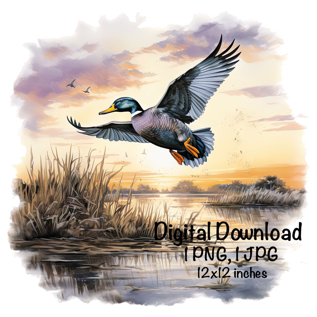 Mallard Duck PNG Wild Duck Sublimation PNG Mallard Duck Sublimation ...