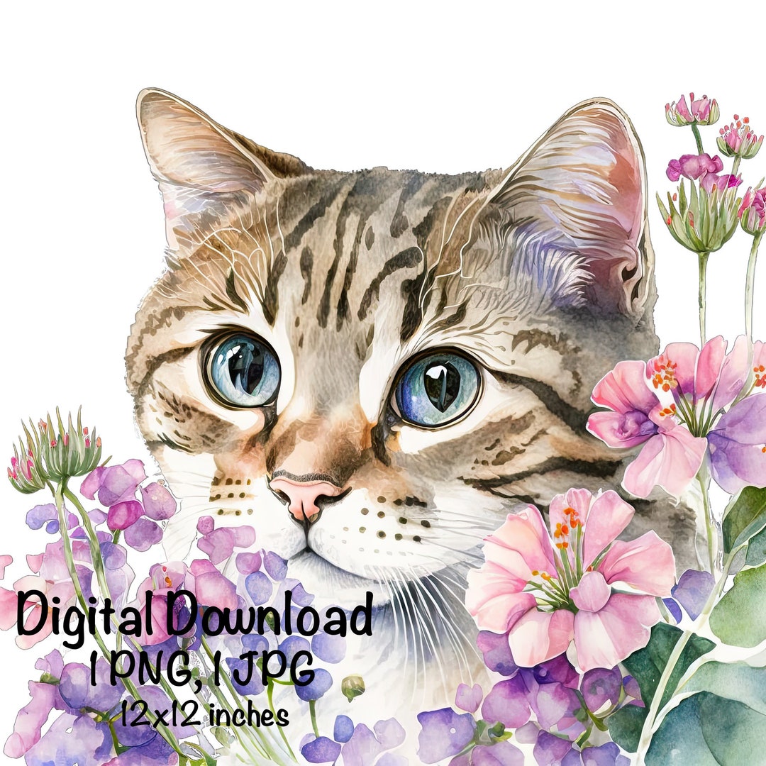 Tabby Cat Watercolor Clipart Street Cat Spring Daisy Flowers - Etsy