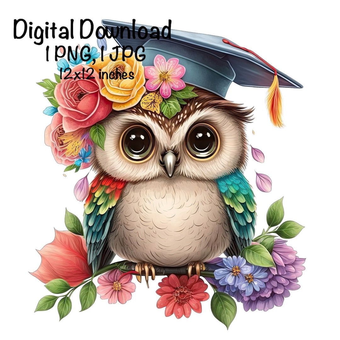 Graduation Owl Clipart Grad Student Owl PNG College Graduation ...