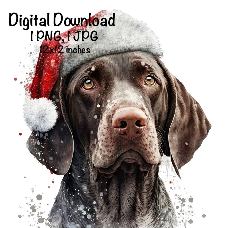 Cute Pointer Watercolor Clipart Cute German Shorthaired - Etsy