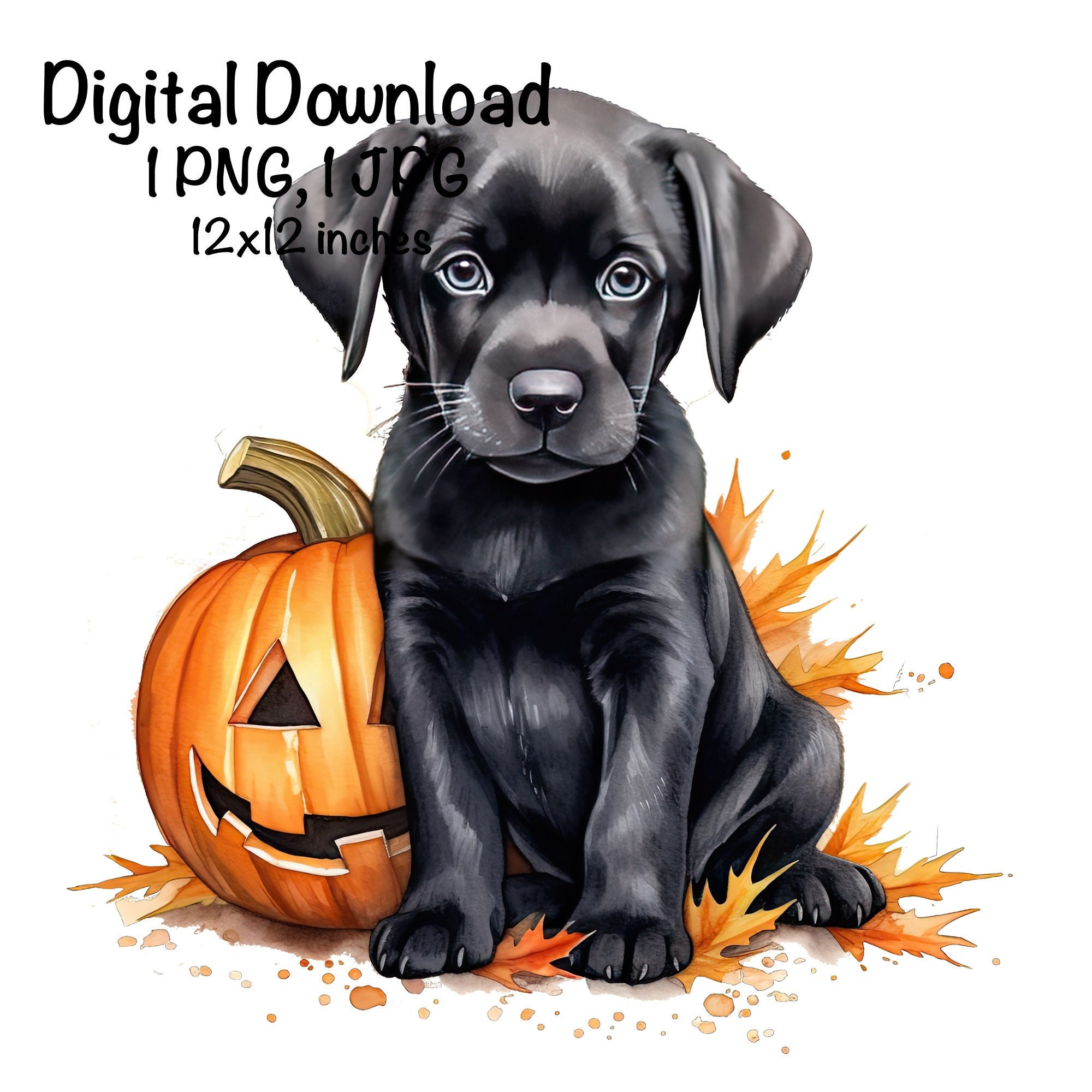 Halloween Lab Puppies