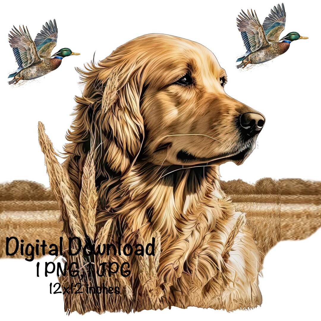 Duck Hunting Dog Watercolor Clipart Golden Retriever Dog PNG Commercial ...