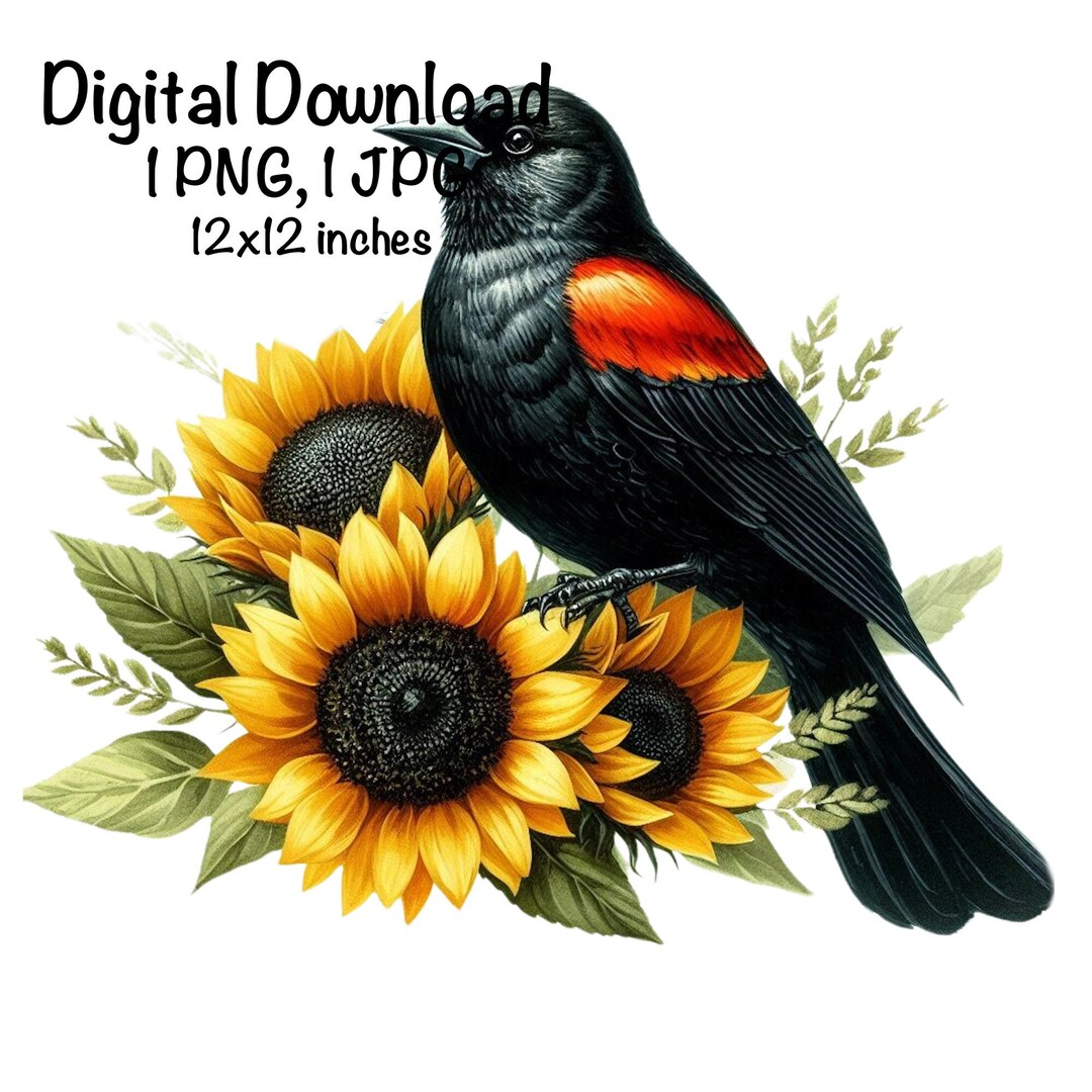 Blackbird Crow Sunflowers Sublimation PNG Red Winged Blackbird PNG ...