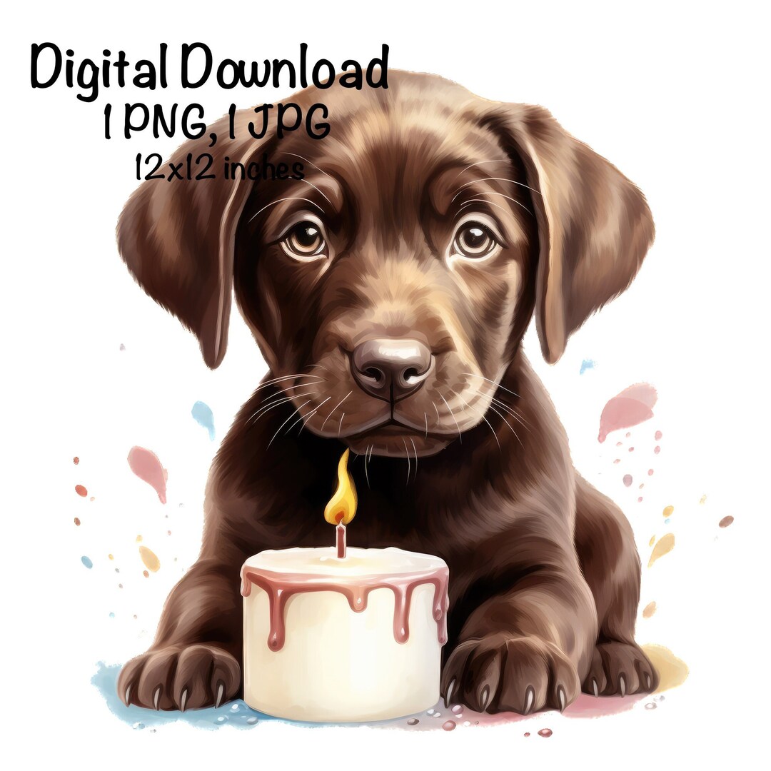Cute Labrador PNG Clipart Cute Birthday Lab Sublimation Chocolate ...