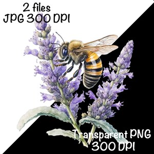 Honey Bee Lavender Flowers Watercolor Clipart Bee Flowers Commercial ...