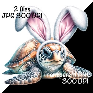 Easter Sea Turtle Sublimation PNG, Bunny Sea Turtle Clipart, Ocean ...