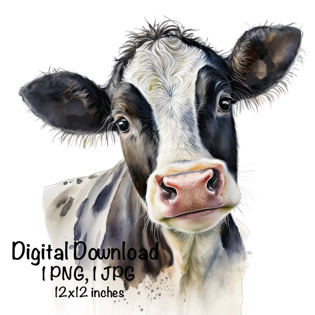 Dairy Milk Cow Watercolor Clipart Highland Black & White Cow PNG ...