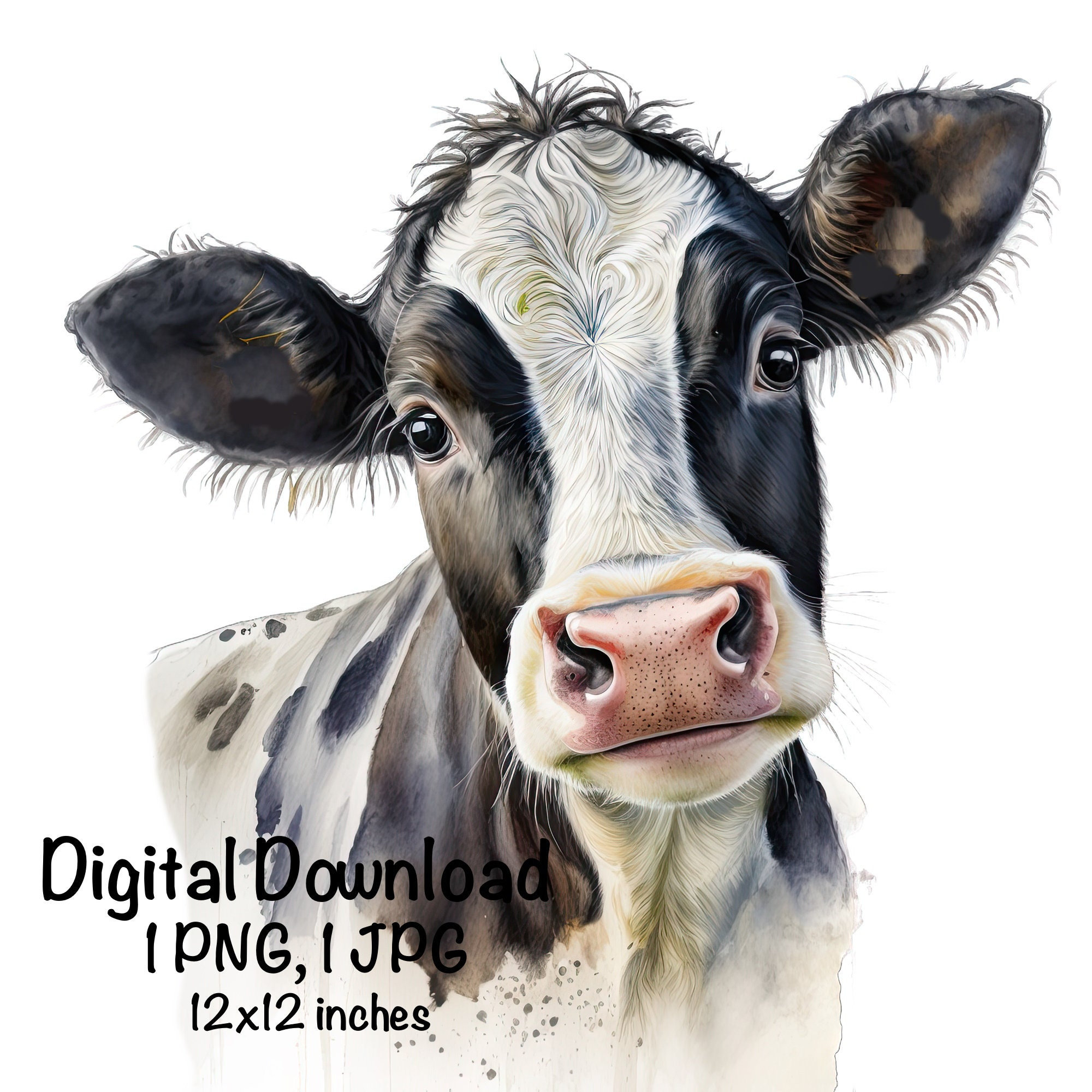 Cow Gives Milk Clipart Images