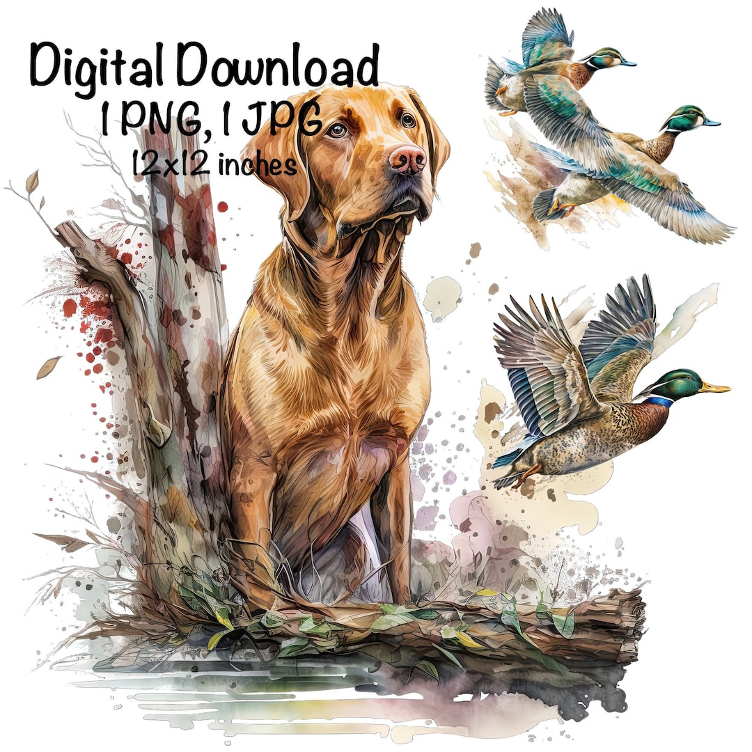 Duck Hunting Dog Watercolor Clipart British Red Labrador Cute Dog PNG ...