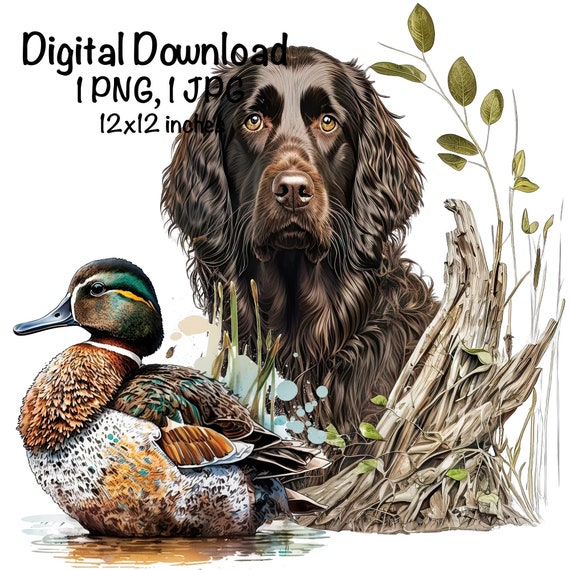 Boykin Spaniel Duck Hunting