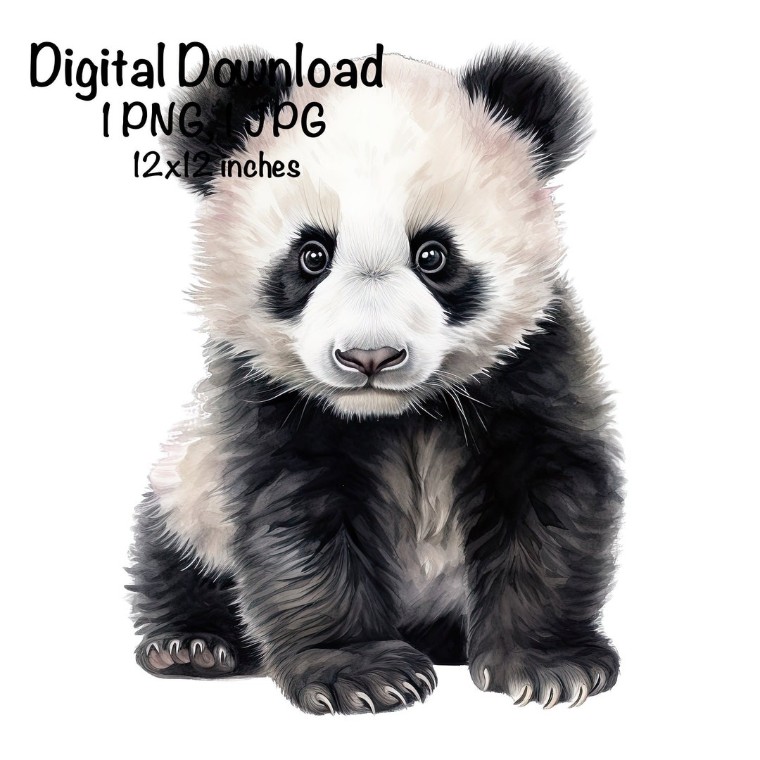 Panda Bear PNG, Cute Panda Bear Clipart, Forest Animals Giant Panda PNG ...