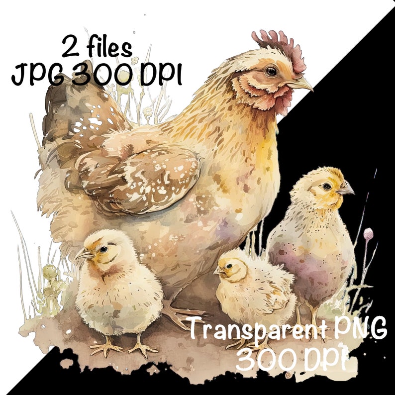 Farm Chicken & Chicks Watercolor Farm Hen Boys Girls Clipart - Etsy