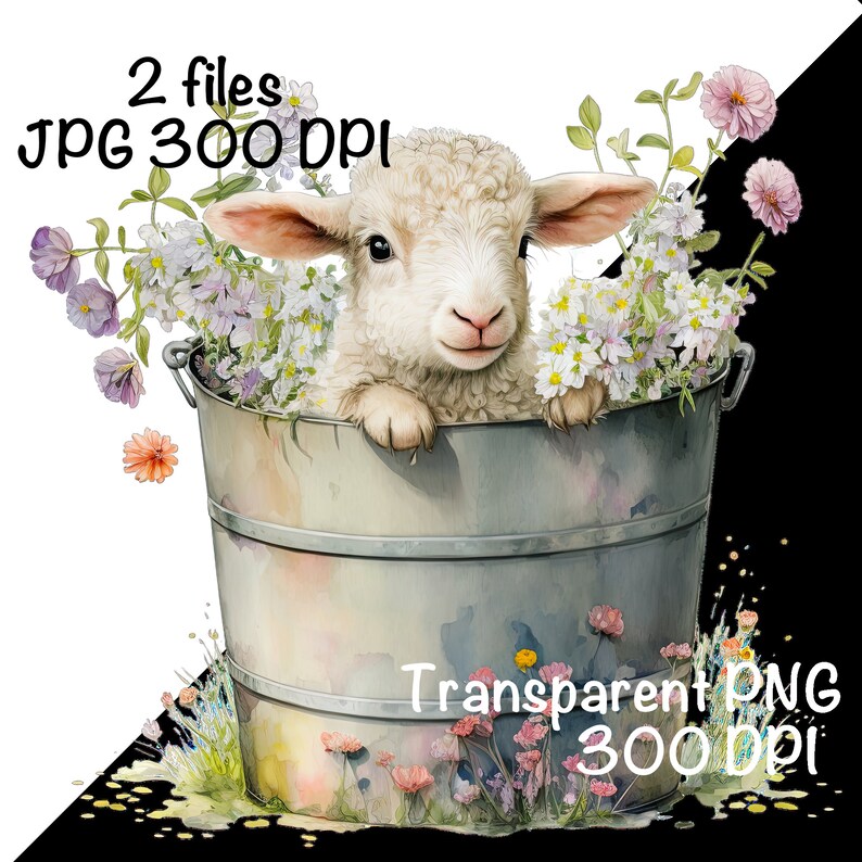 Baby Lamb Watercolor Clipart Cute Lamb in Bucket Spring - Etsy