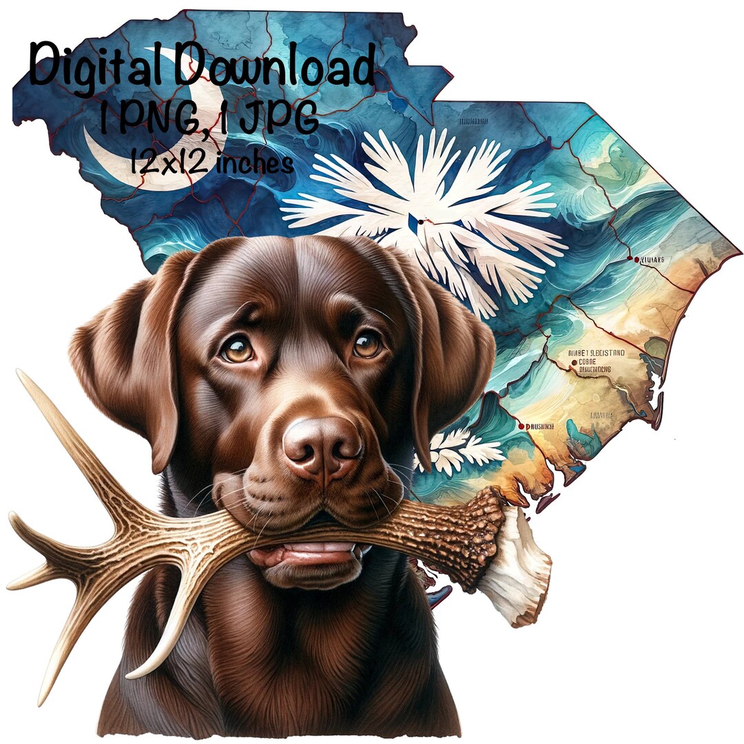 South Carolina Deer Hunting Dog PNG Chocolate Labrador Dog SC Map ...
