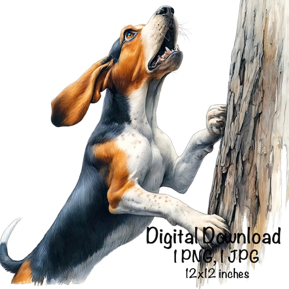 Bluetick Coonhound Treeing Drawing