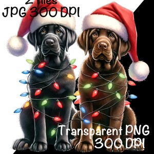 Christmas Labradors PNG Christmas Lights Santa Labrador Dogs ...