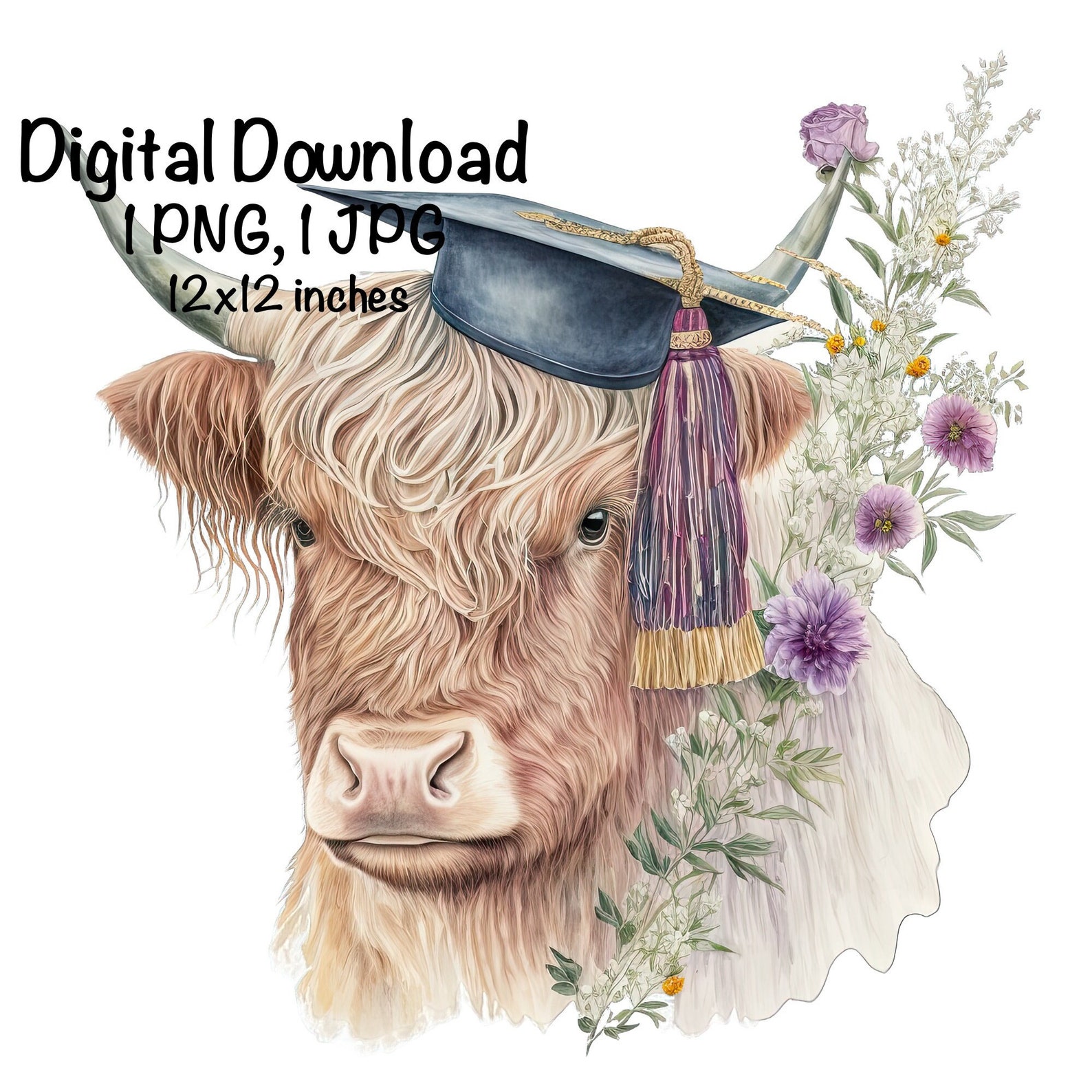 Highland Cow Watercolor Clipart Highland Cow Graduation Spring - Etsy