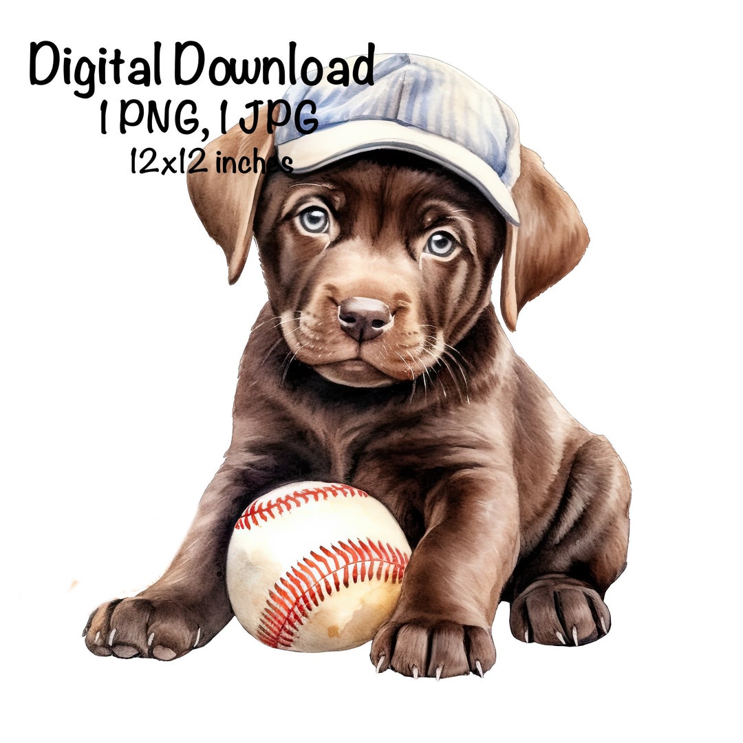 Baseball Labrador Dog PNG Watercolor Clipart Cute Labrador Puppy Dog ...