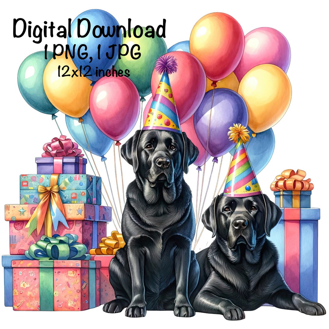 Birthday Labradors PNG | Happy Birthday Black Labrador Sublimation ...