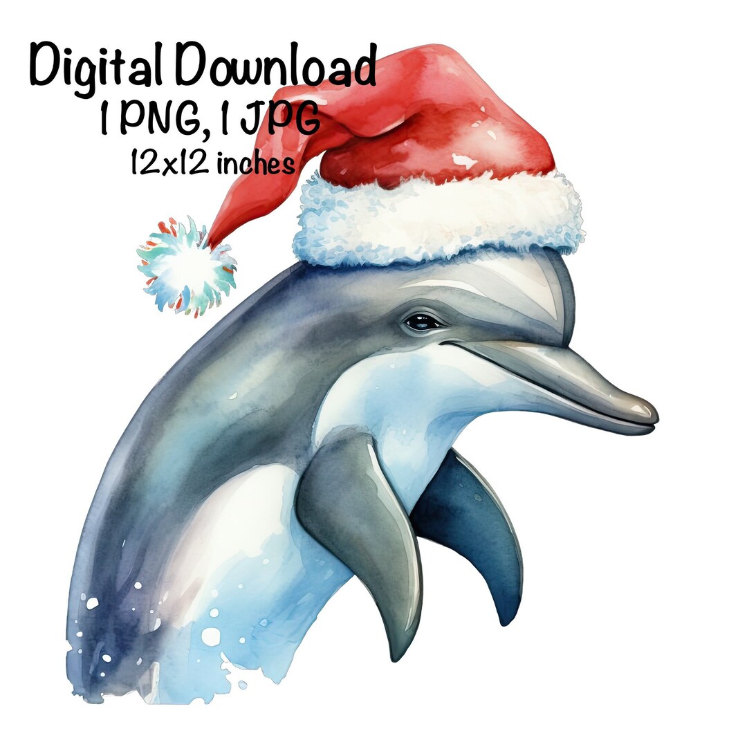 Dolphin PNG Christmas Dolphin Clipart, Ocean Animals Sea Dolphin PNG ...