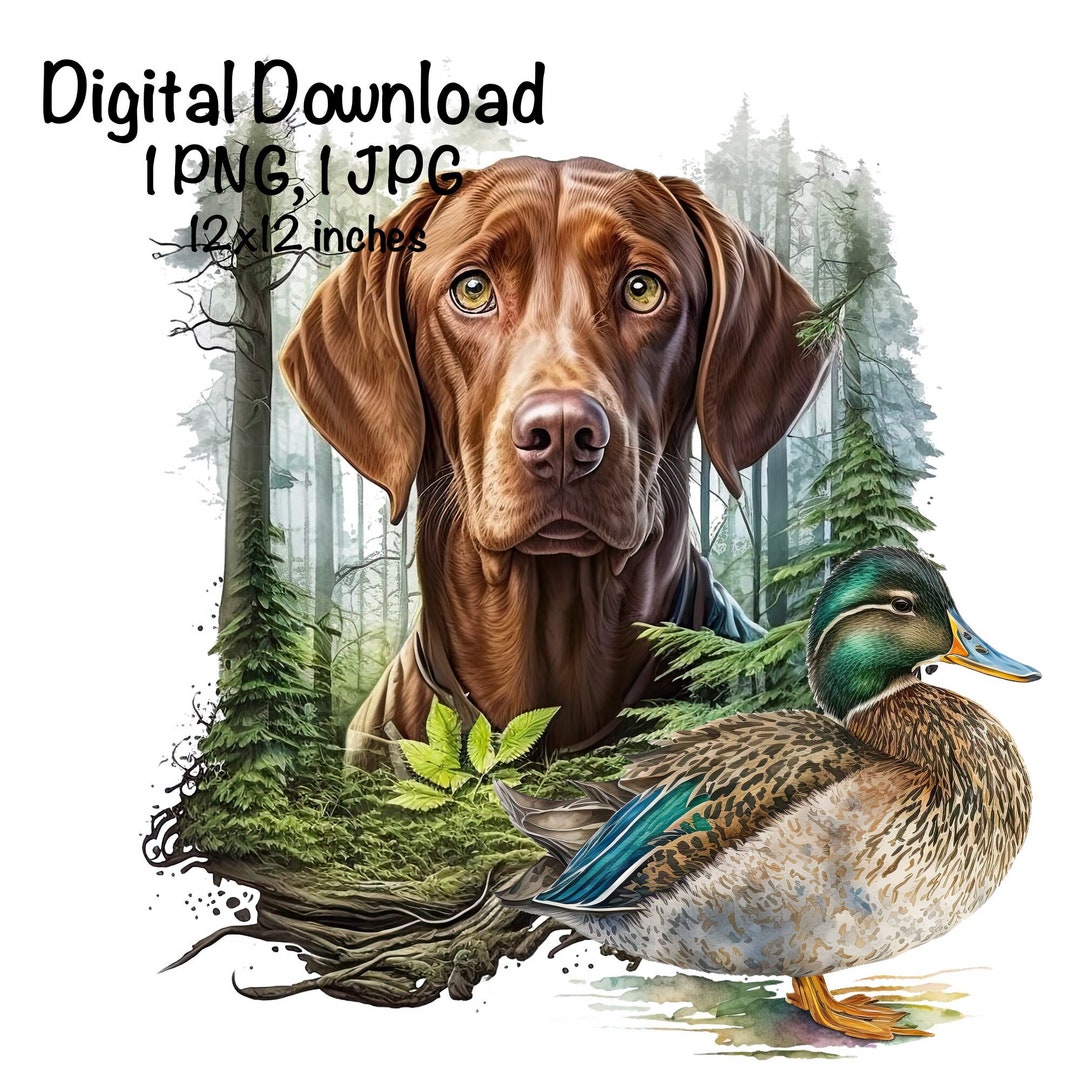 Golden Dog Watercolor Clipart Duck Hunting Dog PNG Commercial Use ...