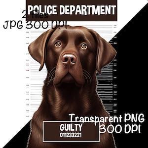 Labrador Mugshot PNG, Hunting Dog Mugshot, Funny Labrador Police Mug ...