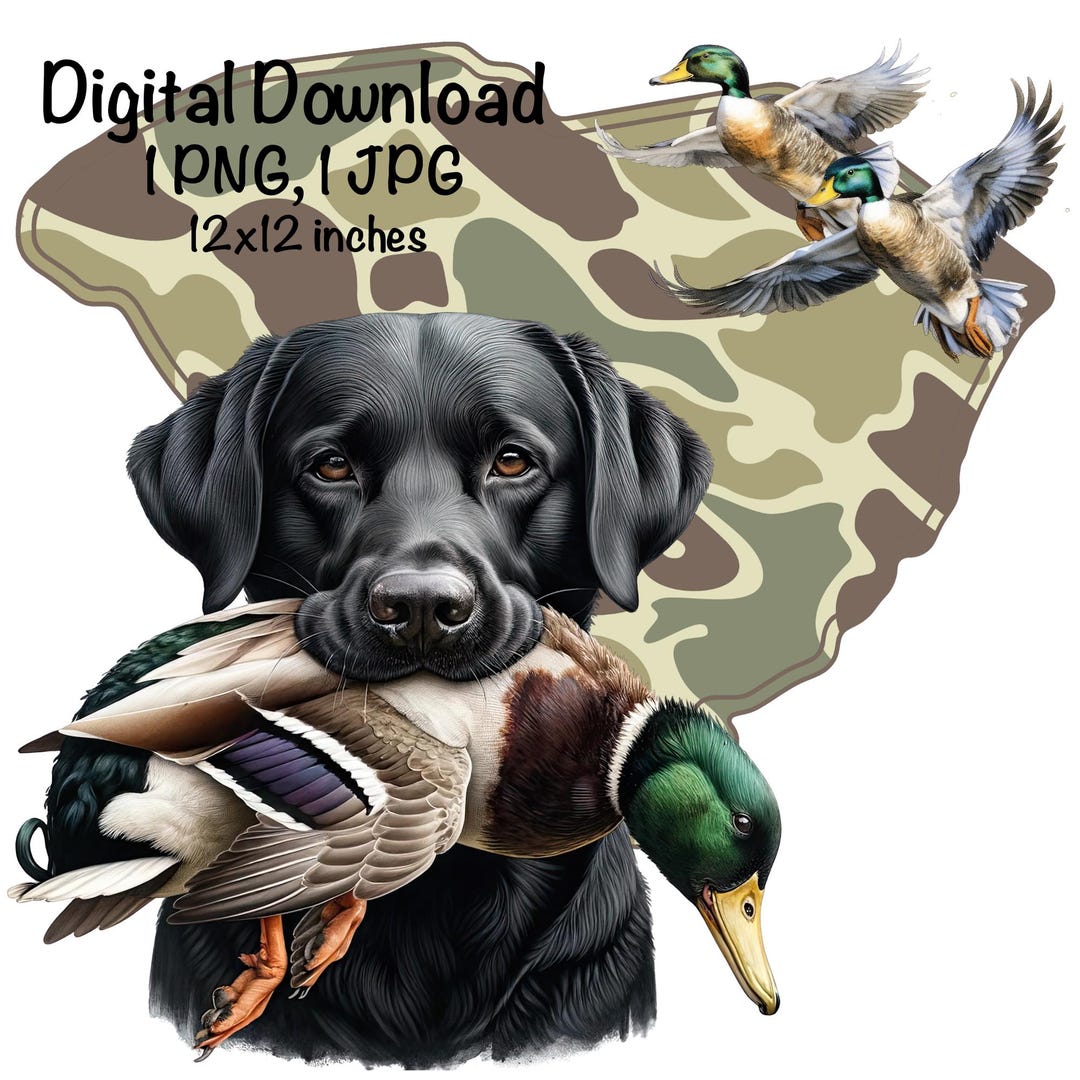 Camo South Carolina Duck Hunting Dog PNG Black Labrador Retriever Dog ...