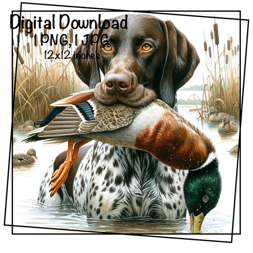 Pointer Dog PNG Duck Hunting German Shorthaired Pointer Dog PNG ...