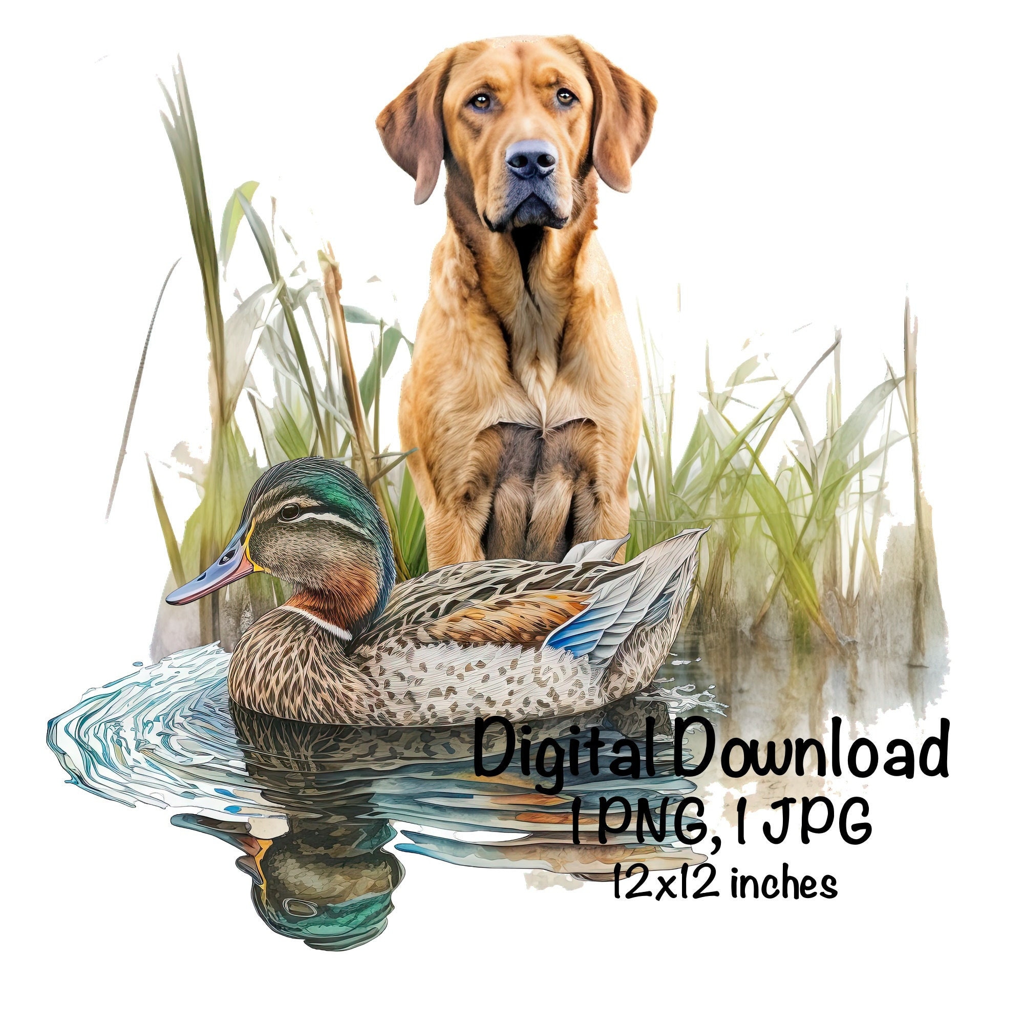Lab Duck Hunting Paintings