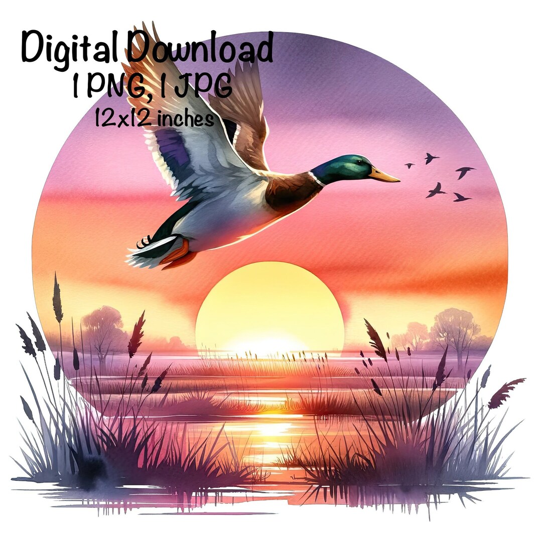 Mallard Duck PNG Wild Duck Sublimation PNG Mallard Duck Sublimation ...