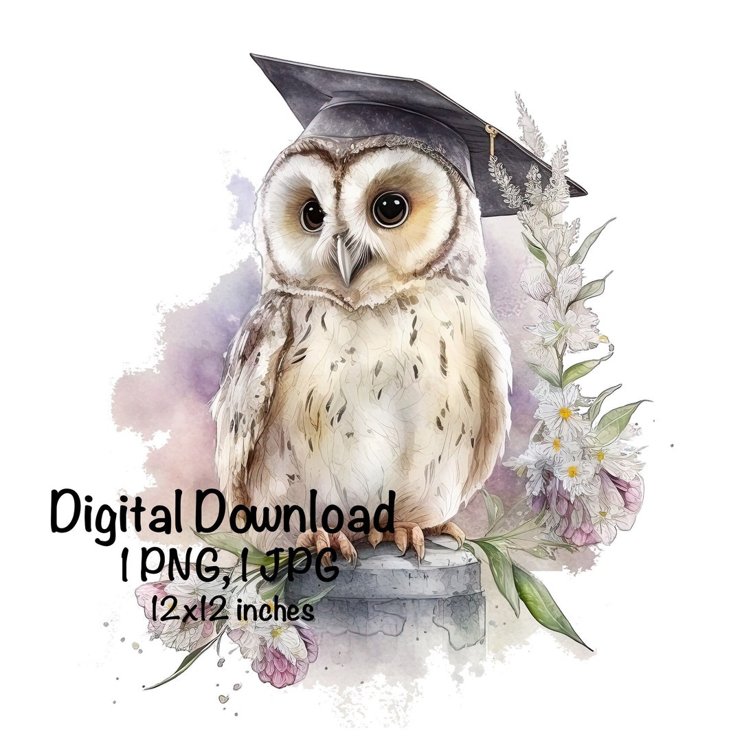 Graduation Owl Clipart Grad Student Owl PNG College Graduation ...