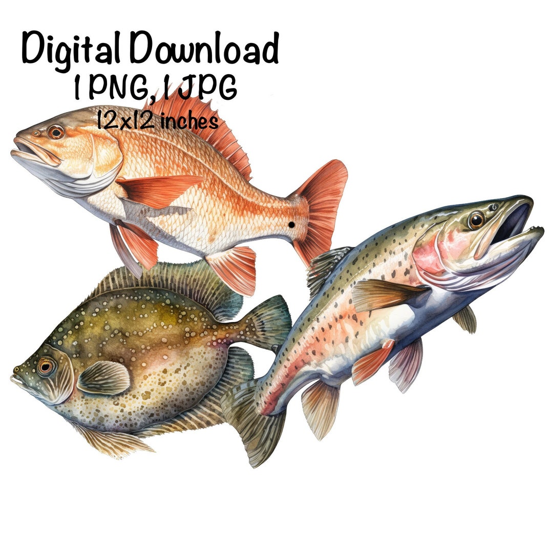 Fishing Slam PNG, Fish Fishing Sublimation PNG, Fish PNG, Fisherman ...