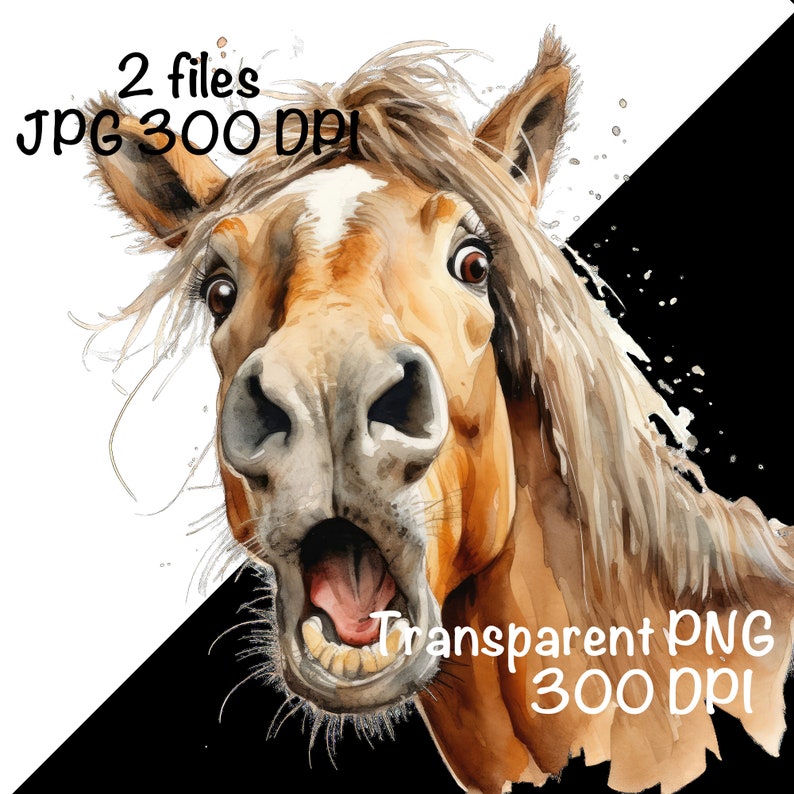 Funny Horse Watercolor Clipart Cute Horse Neigh Horse Riding PNG ...