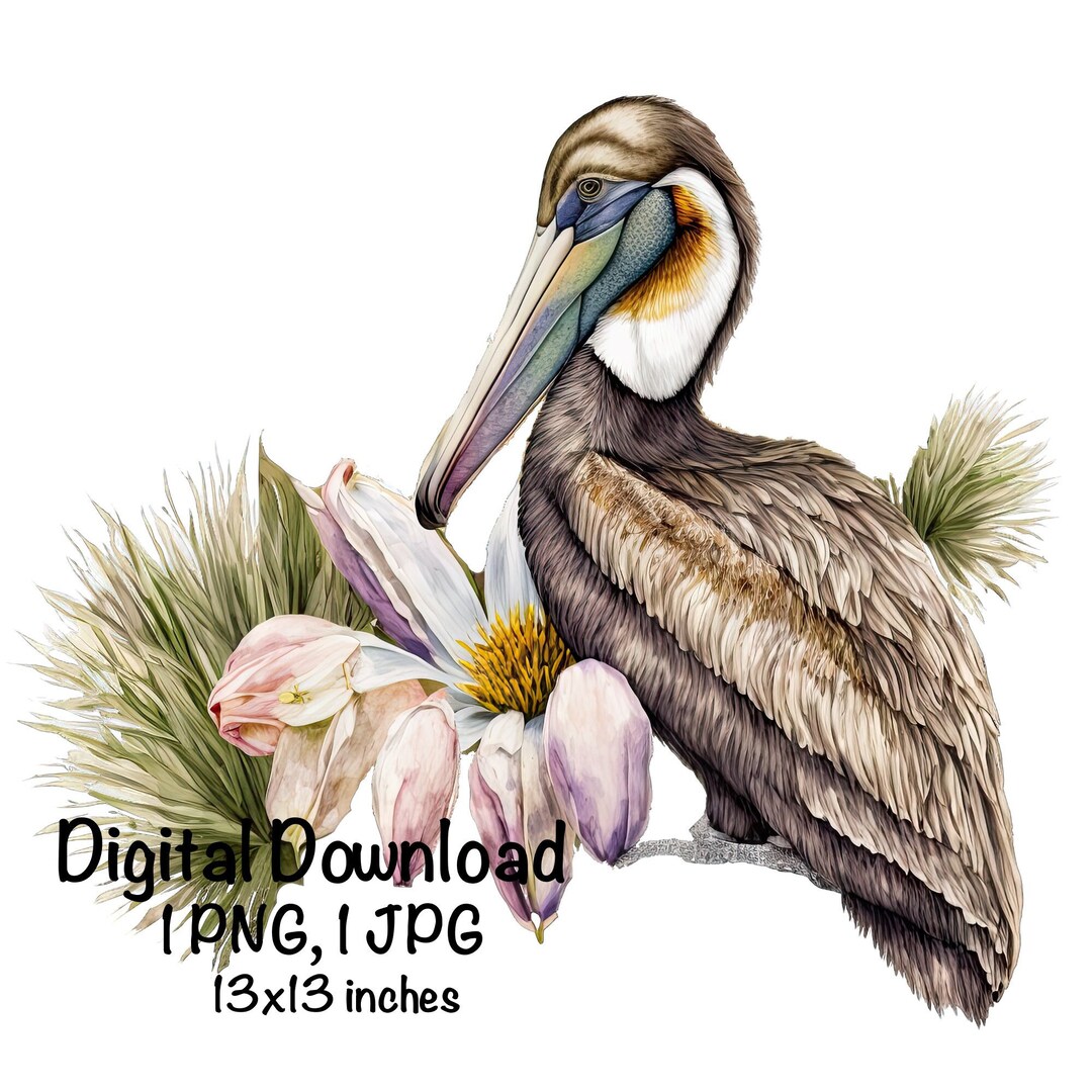 Pelican Watercolor Clipart Louisiana Brown Pelican Magnolia Flowers PNG ...