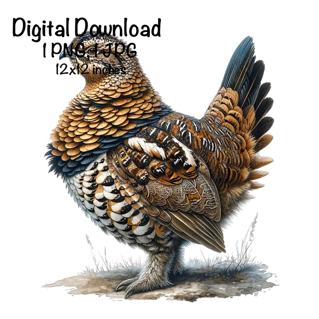 Ruffed Grouse Bird Sublimation PNG, Ruffed Grouse on Alert PNG ...