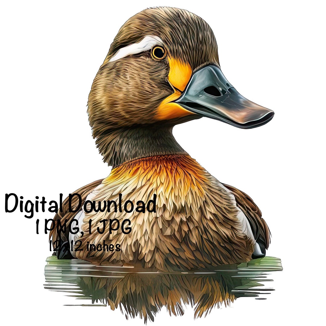 Wild Duck Watercolor Wild Duck Clipart Wall Art Sublimation Duck PNG ...