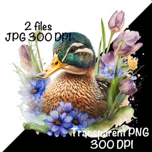 Mallard Duck Watercolor Duck Spring Flowers PNG Commercial Use Mallard ...