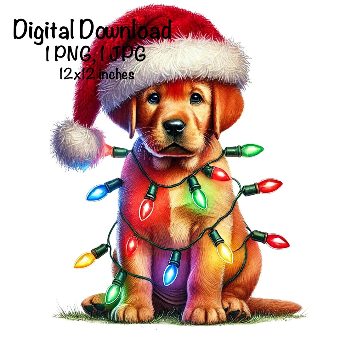 Christmas Labrador Puppy PNG Christmas Lights Santa Red Labrador Baby ...